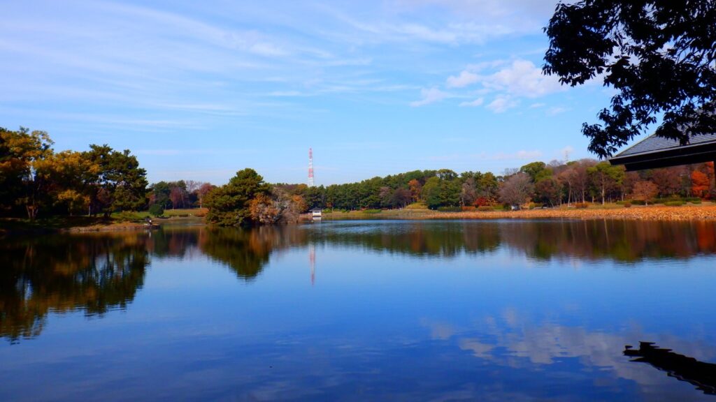 Oizumi Pond today. – Kokosil Oizumi Ryokuchi Park