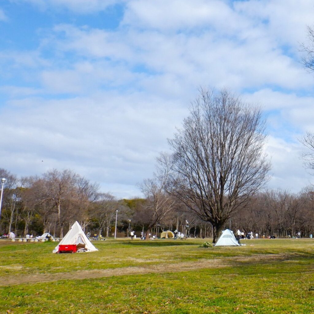 This is what Oizumi Ryokuchi looks like today. – Kokosil Oizumi Ryokuchi Park