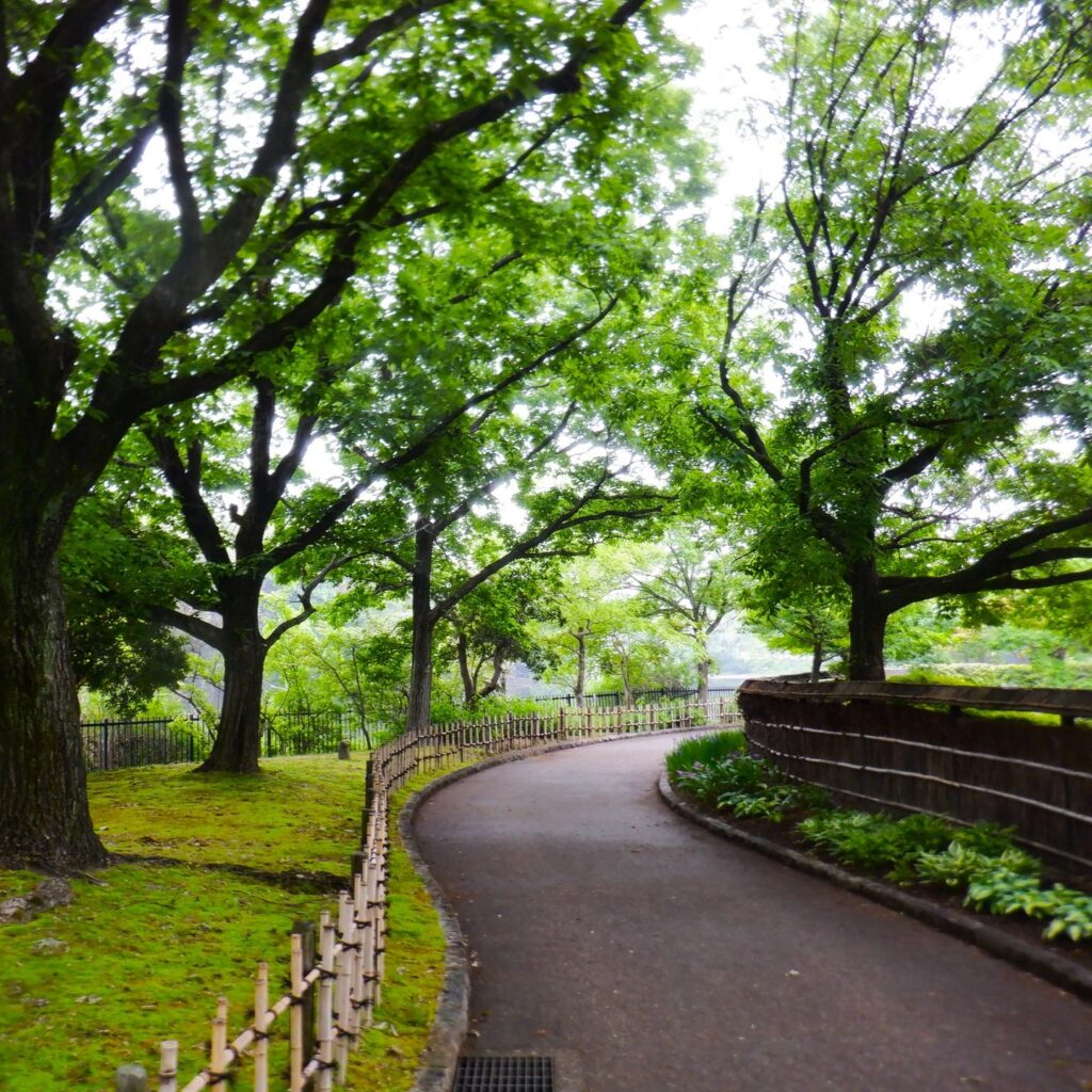 Today’s state of the iris garden. – Kokosil Oizumi Ryokuchi Park