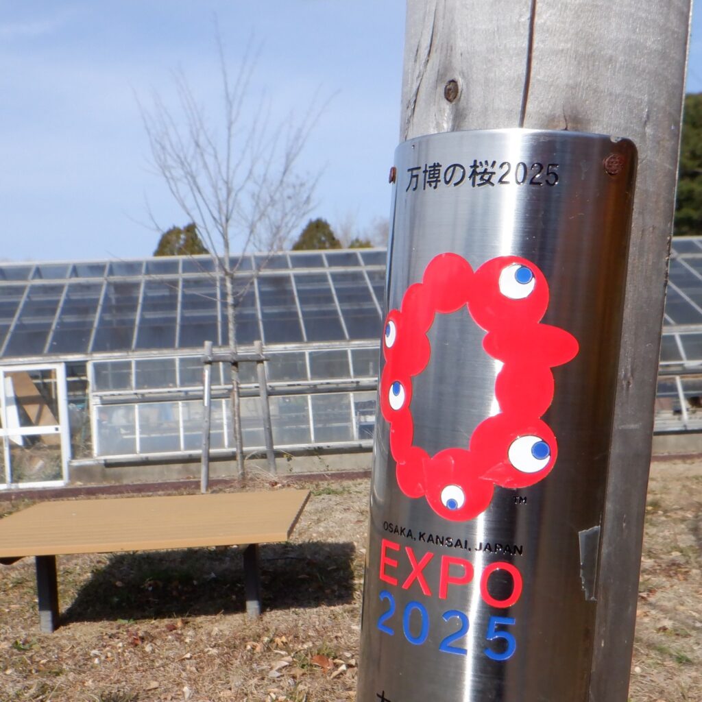 Discover! Oizumi Ryokuchi. Difficulty level: ★★ – Kokosil Oizumi Ryokuchi Park