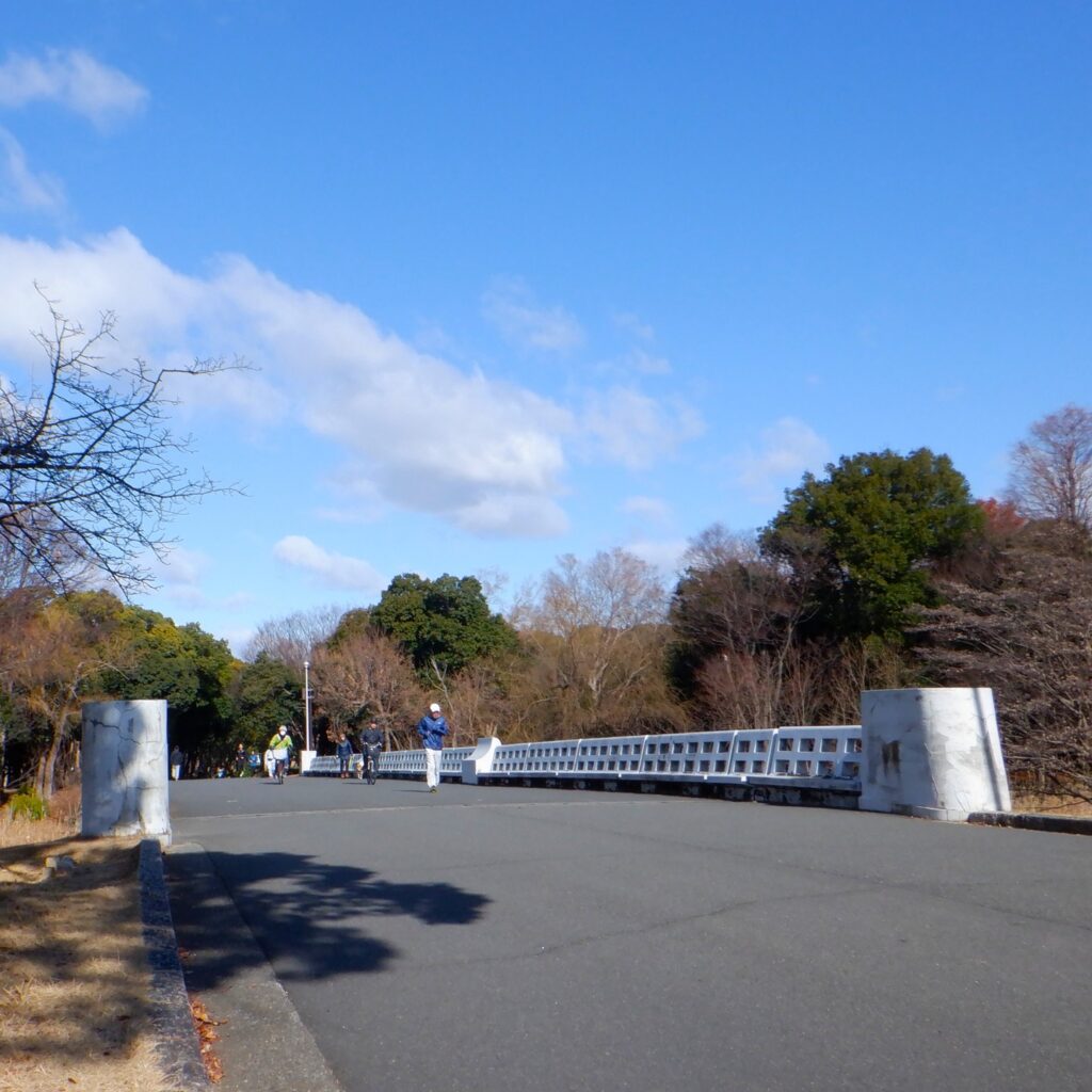 Oizumi Ryokuchi today. – Kokosil Oizumi Ryokuchi Park