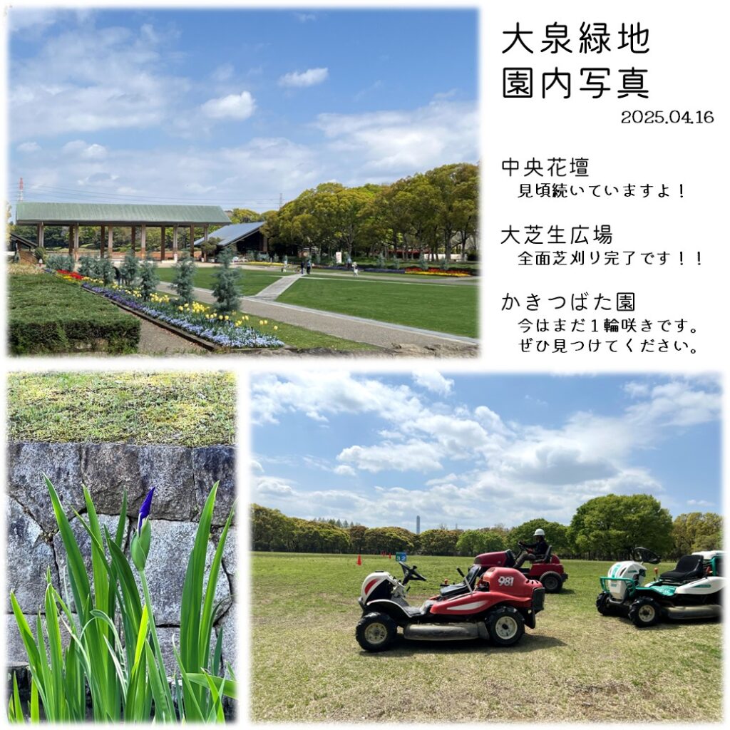 Good evening! – Kokosil Oizumi Ryokuchi Park