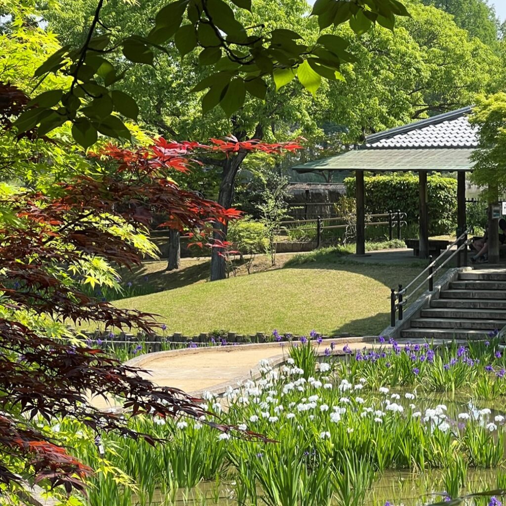 Hello! – Kokosil Oizumi Ryokuchi Park