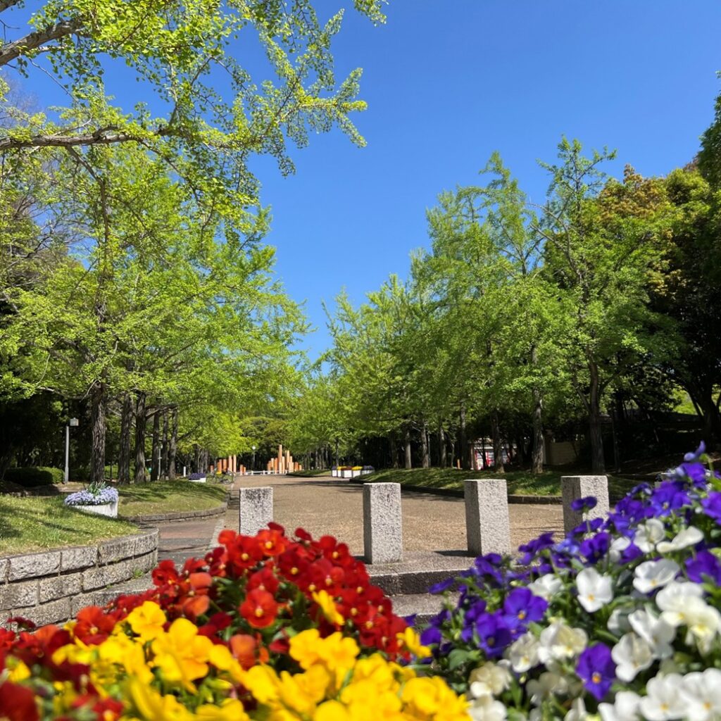 Good evening! – Kokosil Oizumi Ryokuchi Park